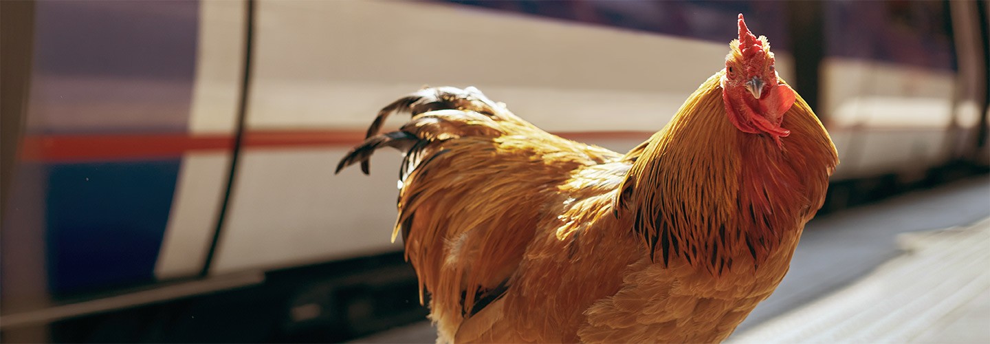 Chiltern Railways | Buy Cheap Train Tickets & Save | Check Timetables